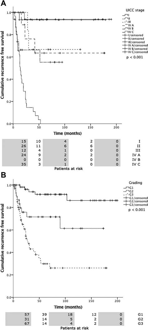 2a 2b Recurrence Free Survival Rfs Versus Uicc Stage A And Tumor
