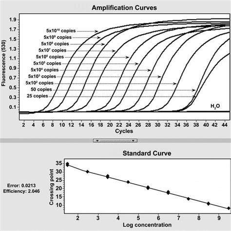 Amplification Curves A And Standard Curve B Using Synthetic Rna
