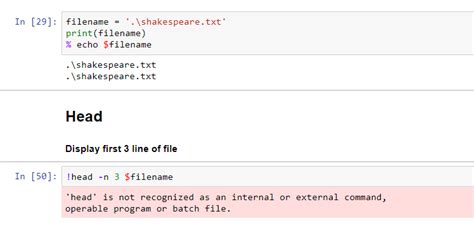 error in head unix command in jupyter notebook · issue 201 · jupyter