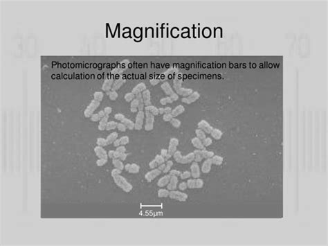 New Btec Level 3 Applied Science Unit 1 B1 Cell Structure And Function