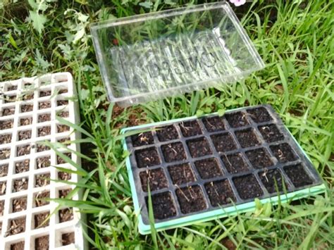 Ideas Para Hacer Semilleros Caseros Con Materiales Reciclados ¡súper