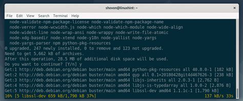 installing node js on debian 10 linux hint