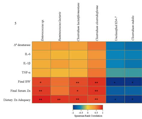 Heat Map Describing A Set Of Spearman Correlations Independent Of