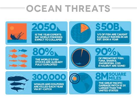 84 Best Fast Facts Images On Pinterest Info Graphics Infographic And
