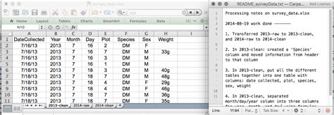 chapter 1 data organisation with spreadsheets