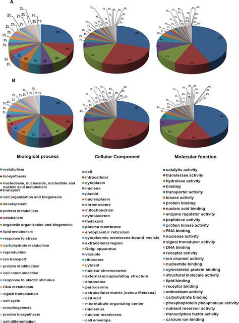 Gene Ontology Go Term Assignment Of Finger Millet Transcripts Into