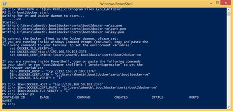 installation on windows docker 中文指南