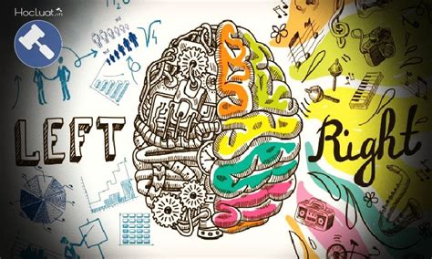 Top 4 đối Tượng Nghiên Cứu Của Tâm Lý Học Mới Nhất Năm 2023 Kiến Thức