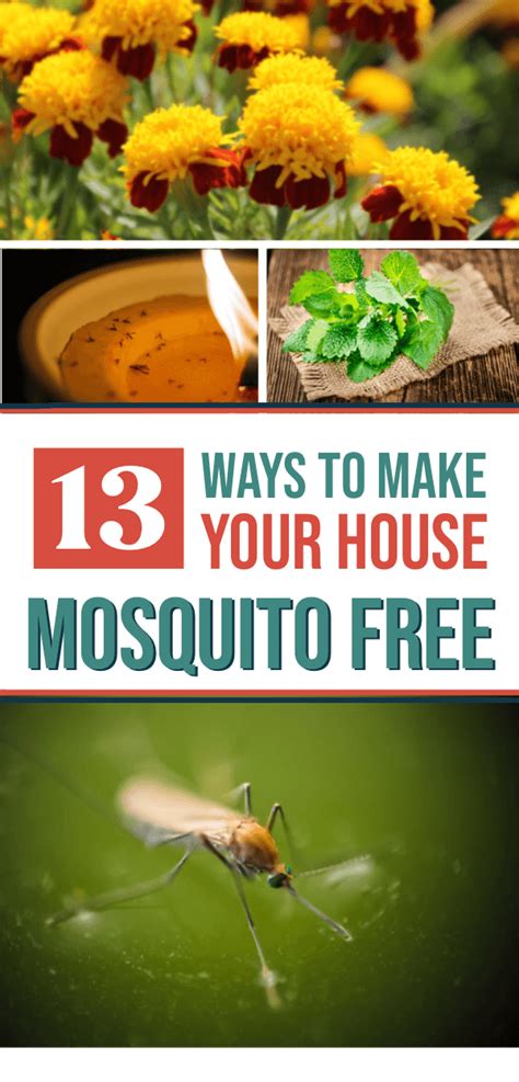 13 Simple Ways To Repel Mosquitoes In 2021 Mosquito Repellent