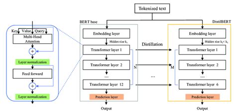 The Distilbert Model Architecture And Components Download Scientific