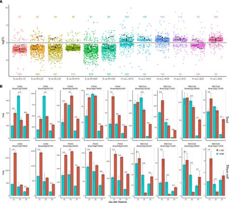 Frontiers Transcriptomic Comparison Of Seeds And Silique Walls From
