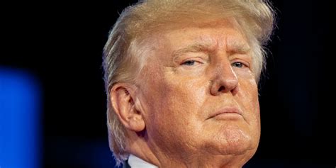 Celebrities Endorsing Donald Trump For President In 2024 From Those