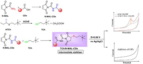 Scheme 13 Schematic Representation Of Synthesis And Working Of