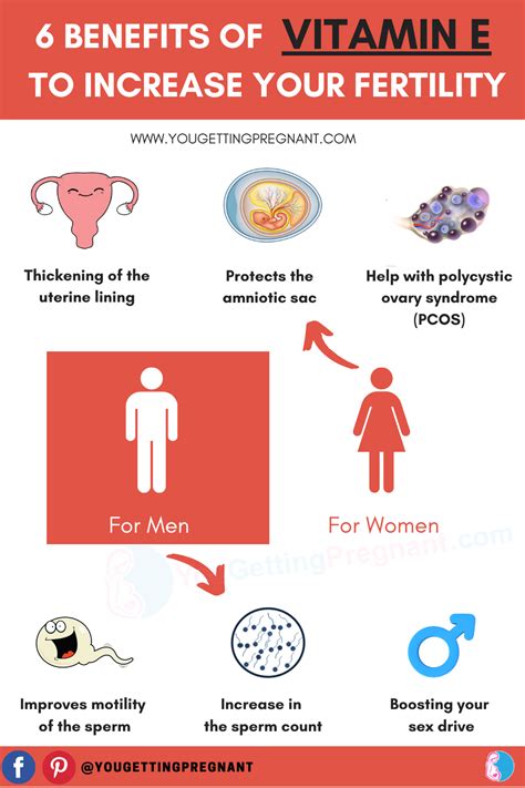 The Benefits Of Vitamin E For Fertility Getting Pregnant Fertility