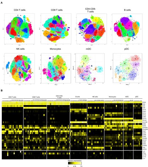 frontiers mass cytometry identifies distinct subsets of regulatory t