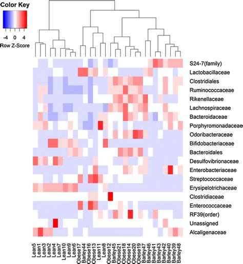 Heatmap Showing Clustering Of Relative Proportions Of 16s Rrna Gene