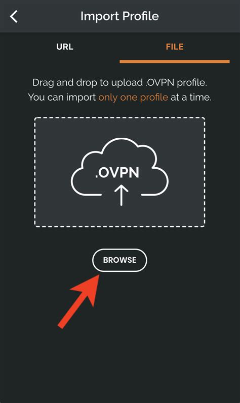 user imports received profile into connect client openvpn