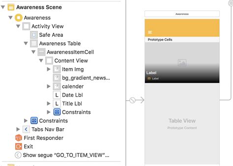 ios xcode 10 not showing images and removes auto layout constraints