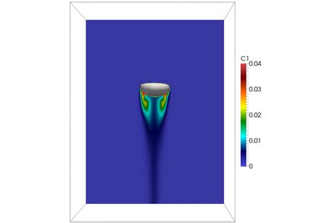 Modeling And Numerical Simulation Of Species Transfer In Bubbly Flows