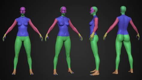 Female Base Mesh Flippednormals