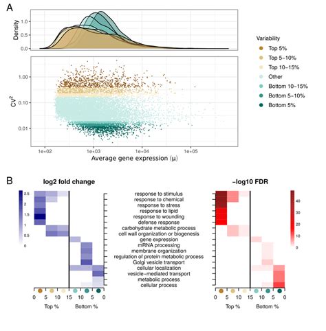 Go Enrichment Analysis Of Genes According To Their Variability A