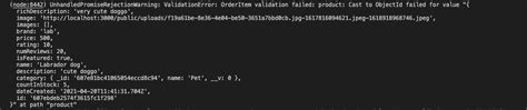 node js unhandledpromiserejectionwarning validationerror while