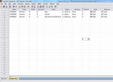 introduction to spss and how to use it knowledge tank