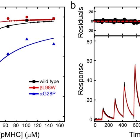 Representative Binding Affinity Measurements A Steady State Binding