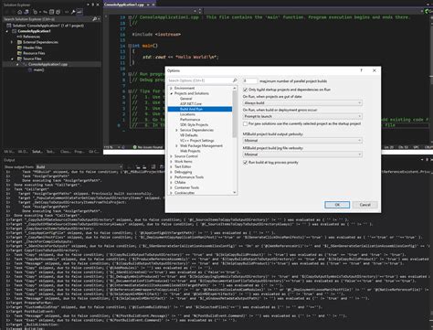 c why does the setting msbuild project build output verbosity