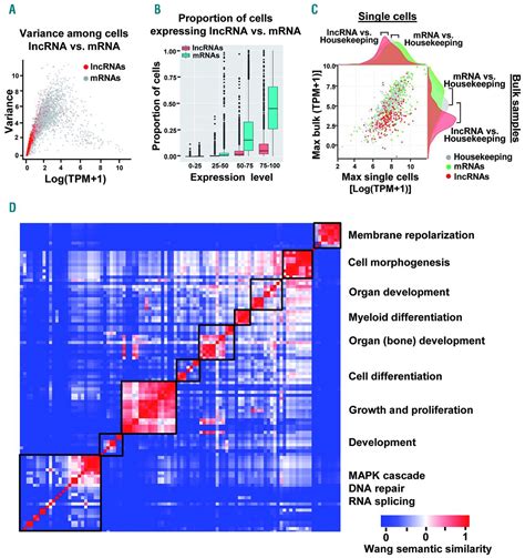 Long Noncoding Rnas Of Single Hematopoietic Stem And Progenitor Cells