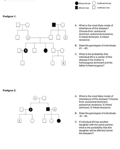 [solved] Pedigree 3 What Is The Most Likely Mode Of