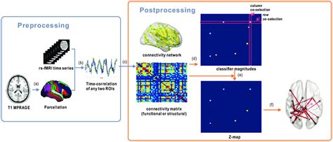 Flow Chart Of The Preprocessing Of Fmri And Dmri Data Left Blue Box