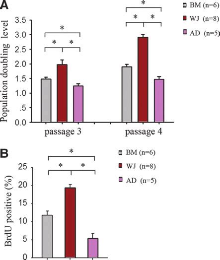 Cell Proliferation Levels Of Human Mscs Derived From The Three Kinds Of