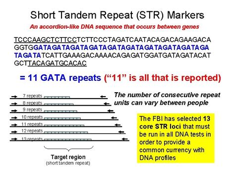 Chapter 2 Basics Of Dna Biology And Genetics