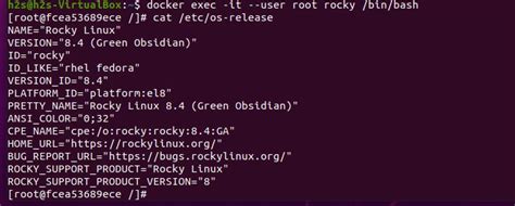 How To Install And Use Rocky Linux Docker Container Linuxshout