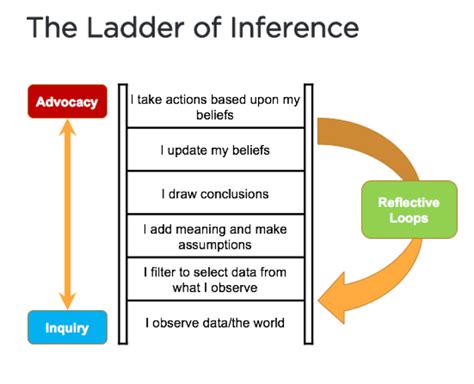 using the ladder of inference to view data panorama academy