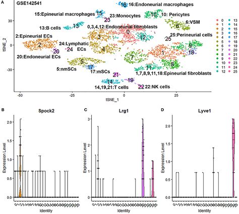 Frontiers Single Cell Transcriptome Data Analysis Defines The
