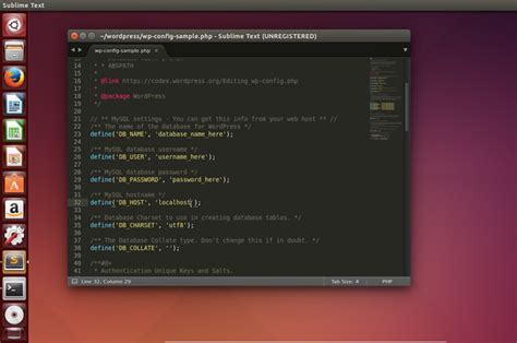 how to install sublime text 3 on ubuntu desktop 14 04