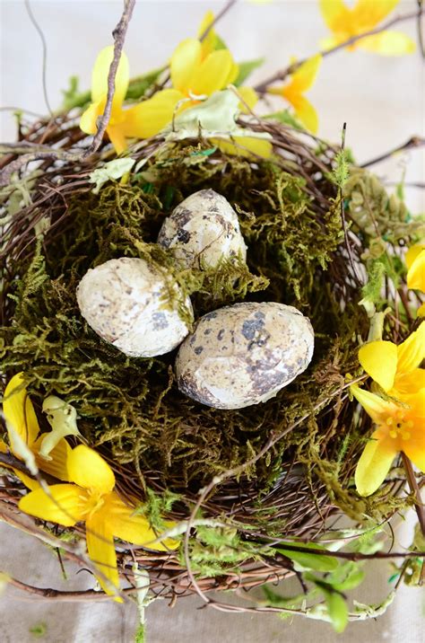 how to feather a store bought nest stonegable