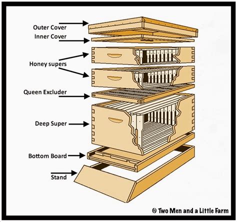 the insides of a beehive and how they fit together coolguides