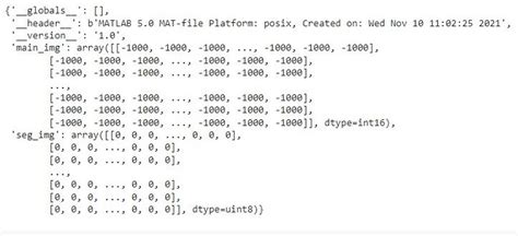 custom dataloader using mat file data pytorch forums