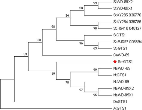 Frontiers Identifying Quantitative Trait Loci For Thousand Grain
