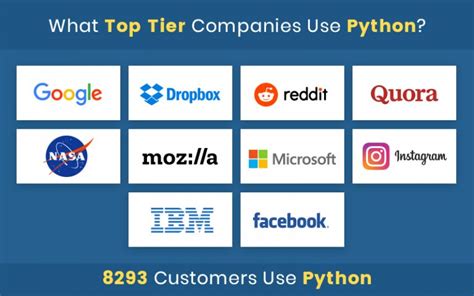why python programming is so popular in less time