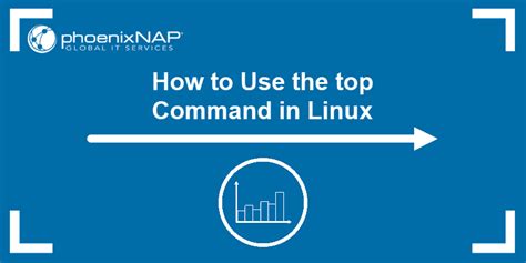 how to use the top command in linux