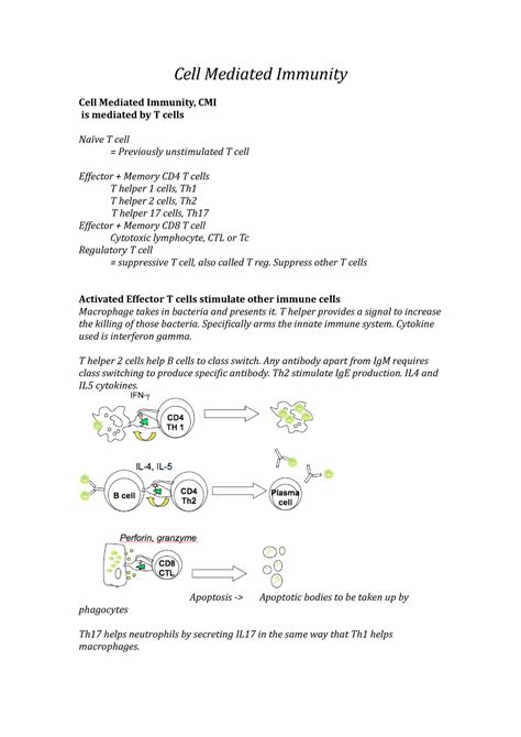 Cell Mediated Immunity Cell Mediated Immunity Cell Mediated Immunity