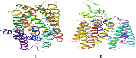 A 3d Homology Model Of Mepa Protein B 3d Homology Model Of Norb