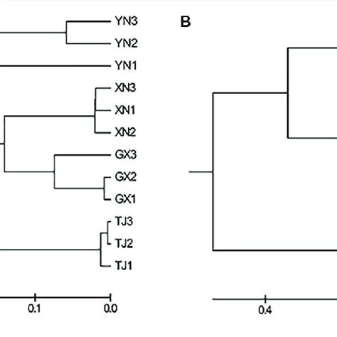Dendrogram Showing The Similarity Of Bacterial Communities Based On