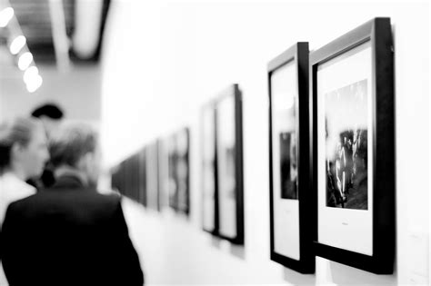 moma art data science python tutorial dataquest