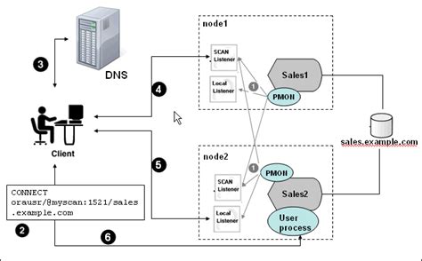 understanding the oracle real application clusters installed configuration
