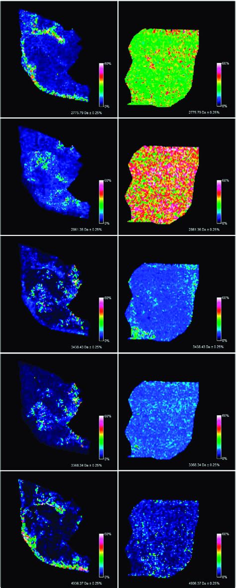 Pictures Visualize The Homogenous Distribution Of The Regiospecific